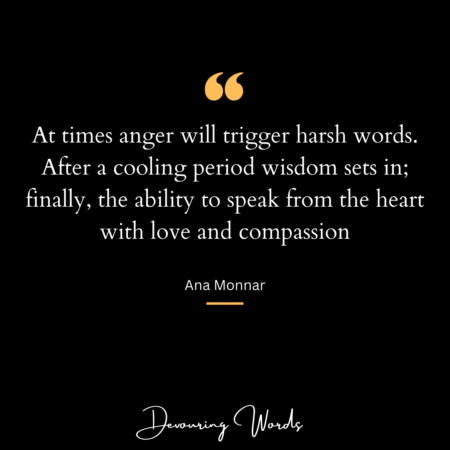 50+ Quotes Of Anger