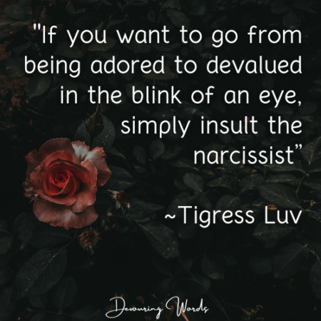35 Powerful Narc Abuse Quotes To Heal & Rebuild Yourself